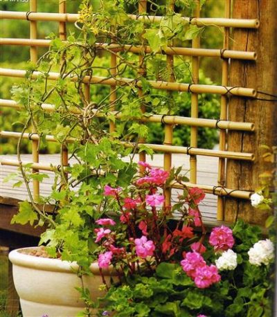 Cómo hacer un enrejado de bambú