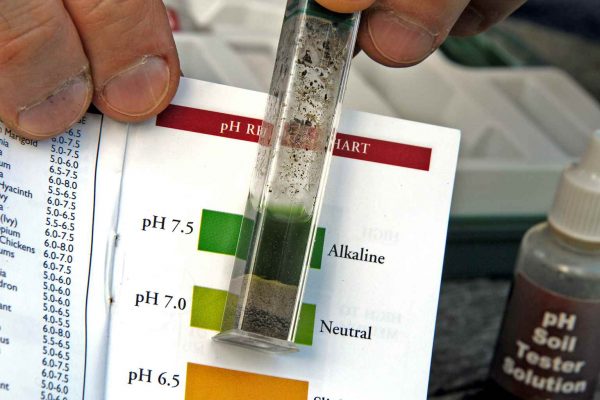 Cómo medir el pH del suelo | POT Store Cómo medir el pH del suelo | POT Store