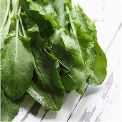 Conoce y cultiva la acederaGuía de Jardinería