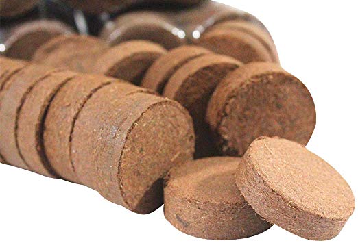 Cómo usar las pastillas de fibra de coco para la germinaciónGuía de ...