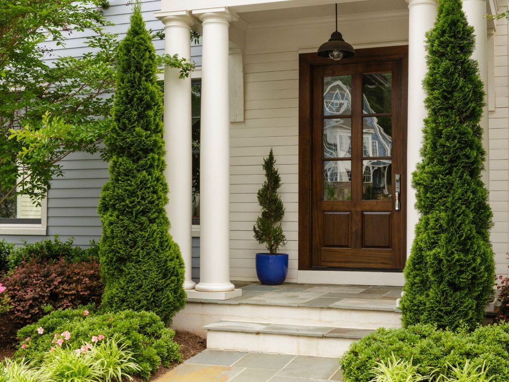 ¿Qué es un árbol columnar?Guía de Jardinería